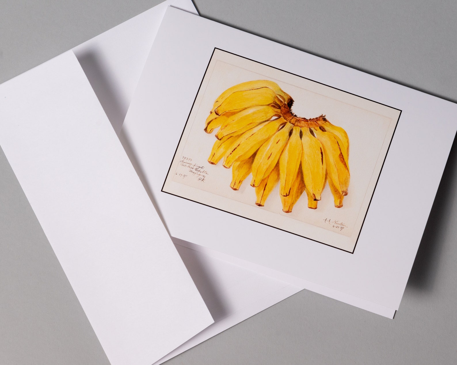 Pomology Fruit Framable Cards 10-pack colorful Gift Kitchen - Etsy