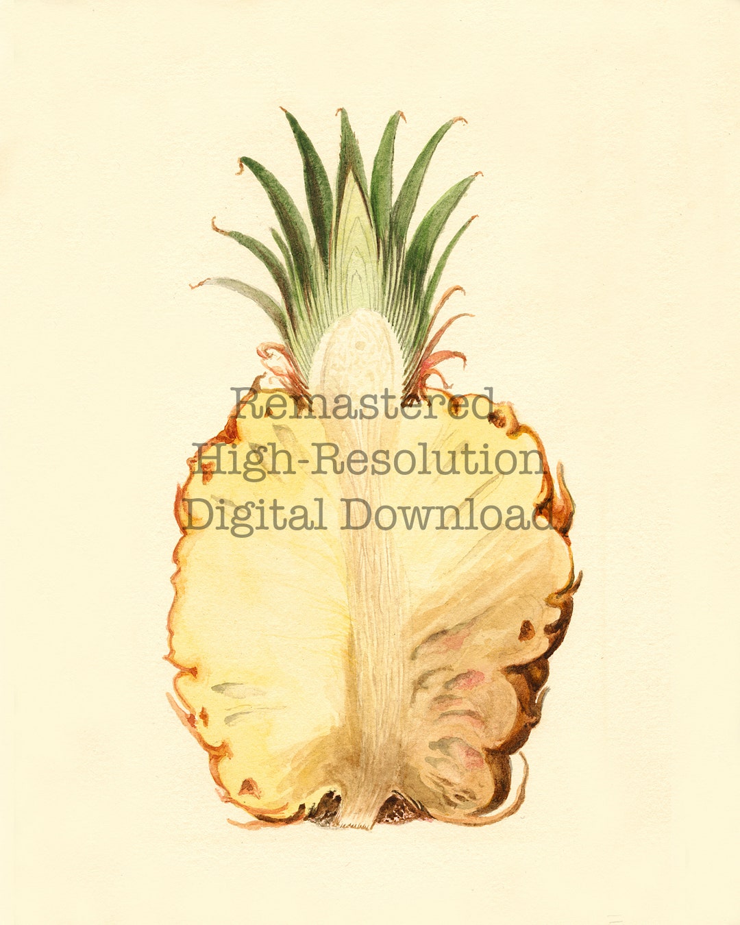 Pineapple - Pomology-remastered High-resolution Digital Download ...