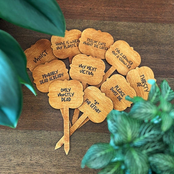 Funny Plant Markers Funny Plant Pun Stakes Plant Sticks - Etsy