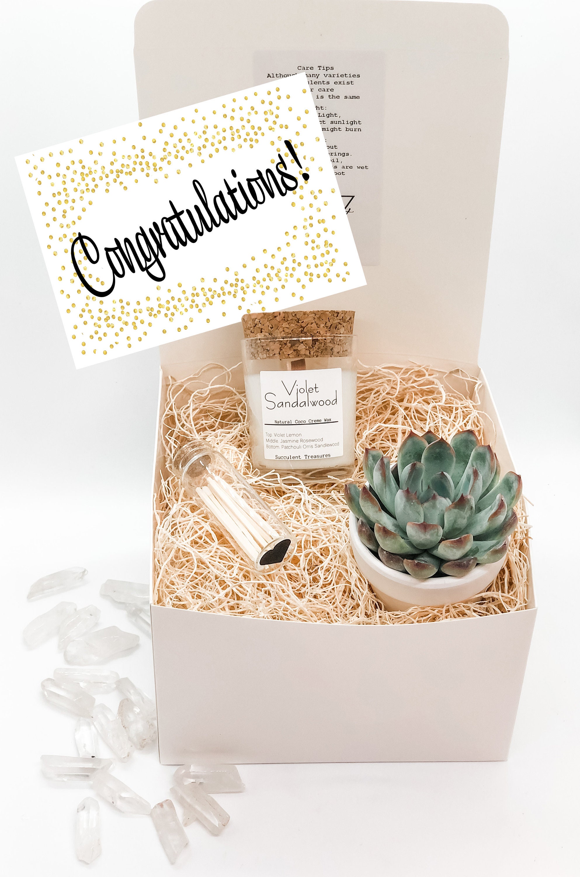 Party Supplies Graduation Succulent Box Graduation Boho Succulent Box ...