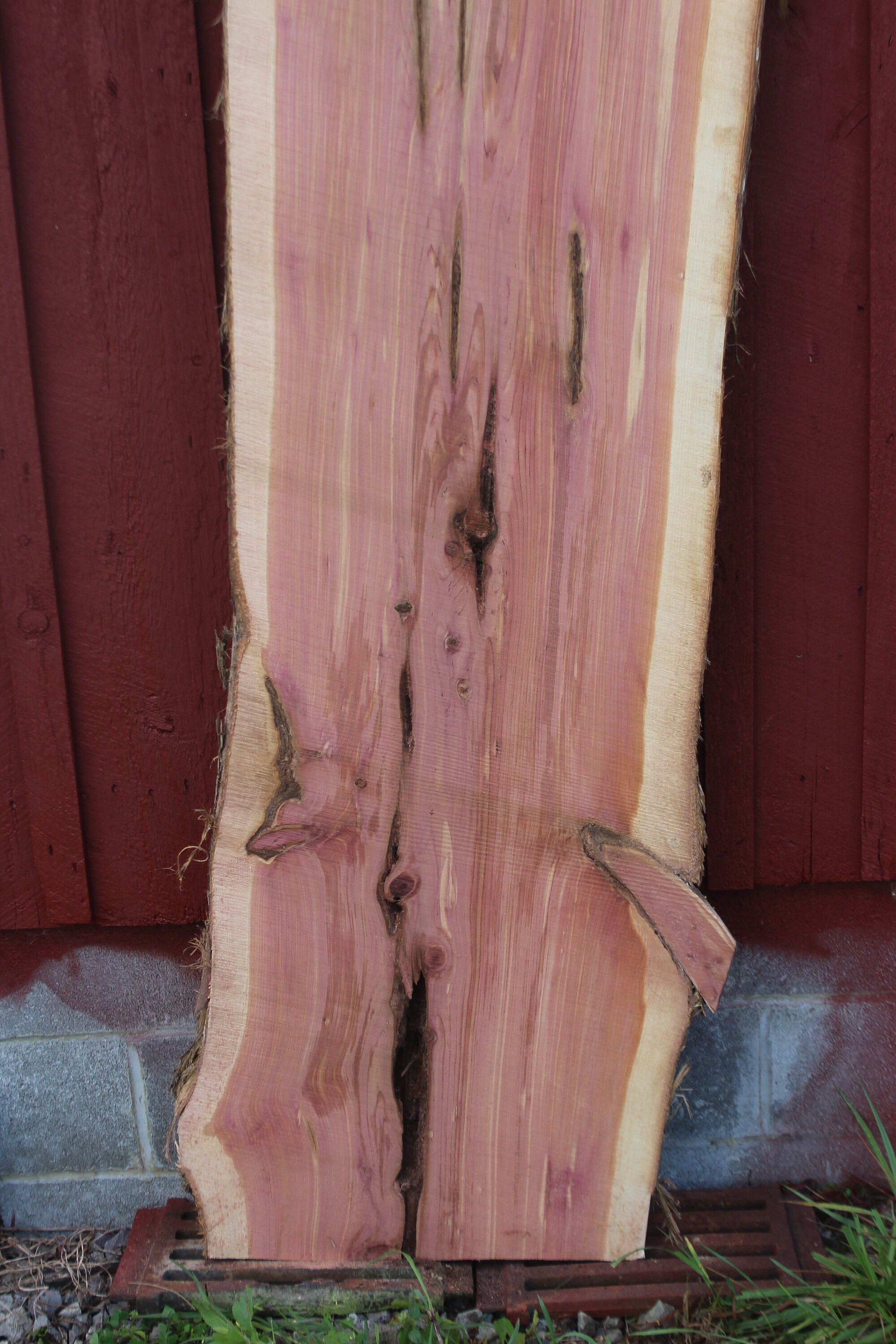 X large Rare Red Cedar Slab 72 inches | Etsy