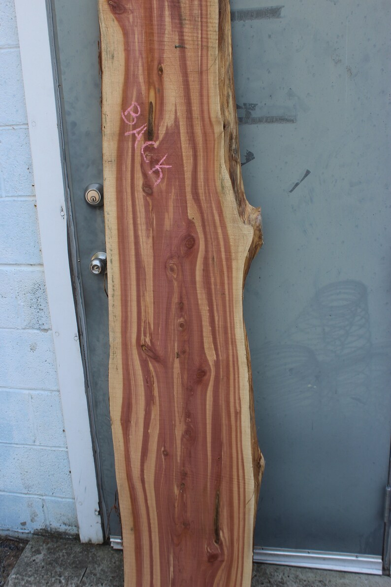 Large Red Cedar Slab Live Edge Rustic Thick Raw 72 Inches - Etsy