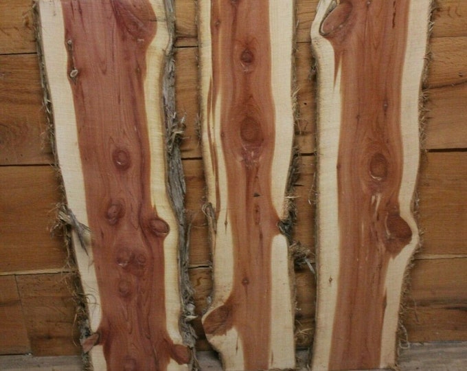 Fresh Cut Live Edge Red Cedar Logs 12 In - Etsy