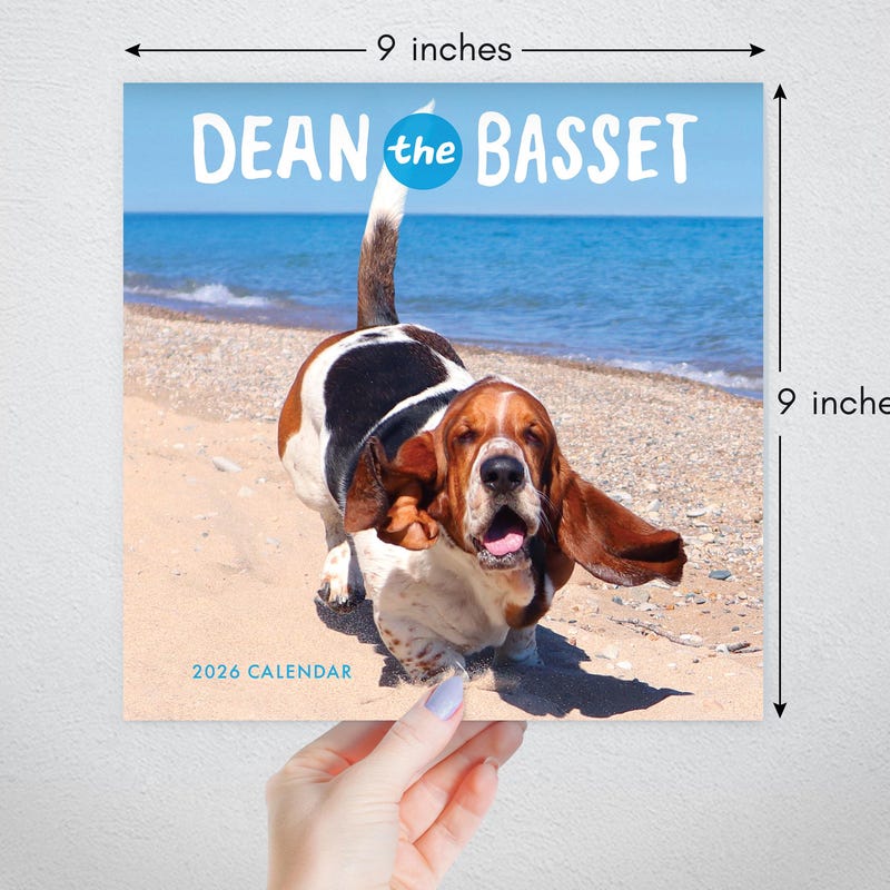 Calendar and Planner 2026 - Etsy