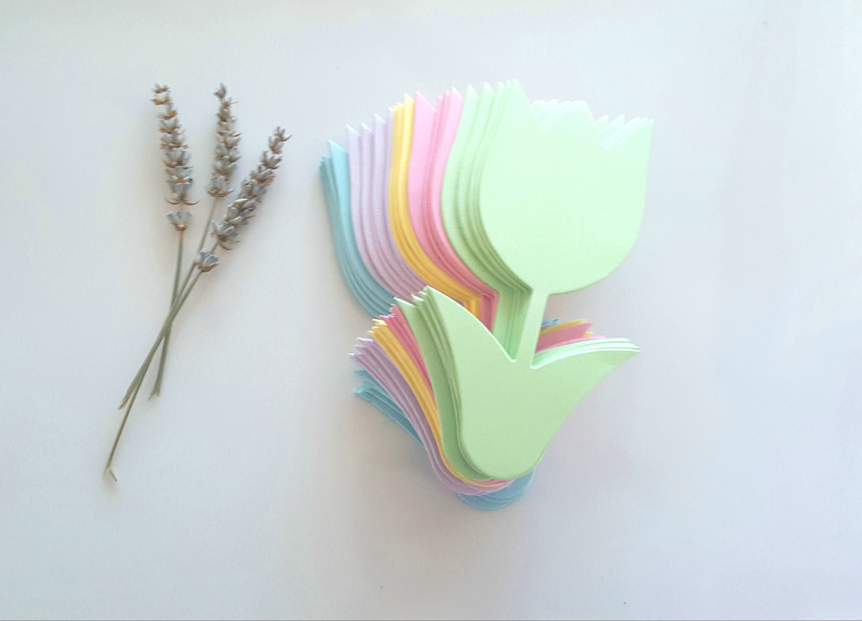 Tulip Die Cuts/pick Colors/tulip Cut Outs,garden Theme Decor,spring Die ...