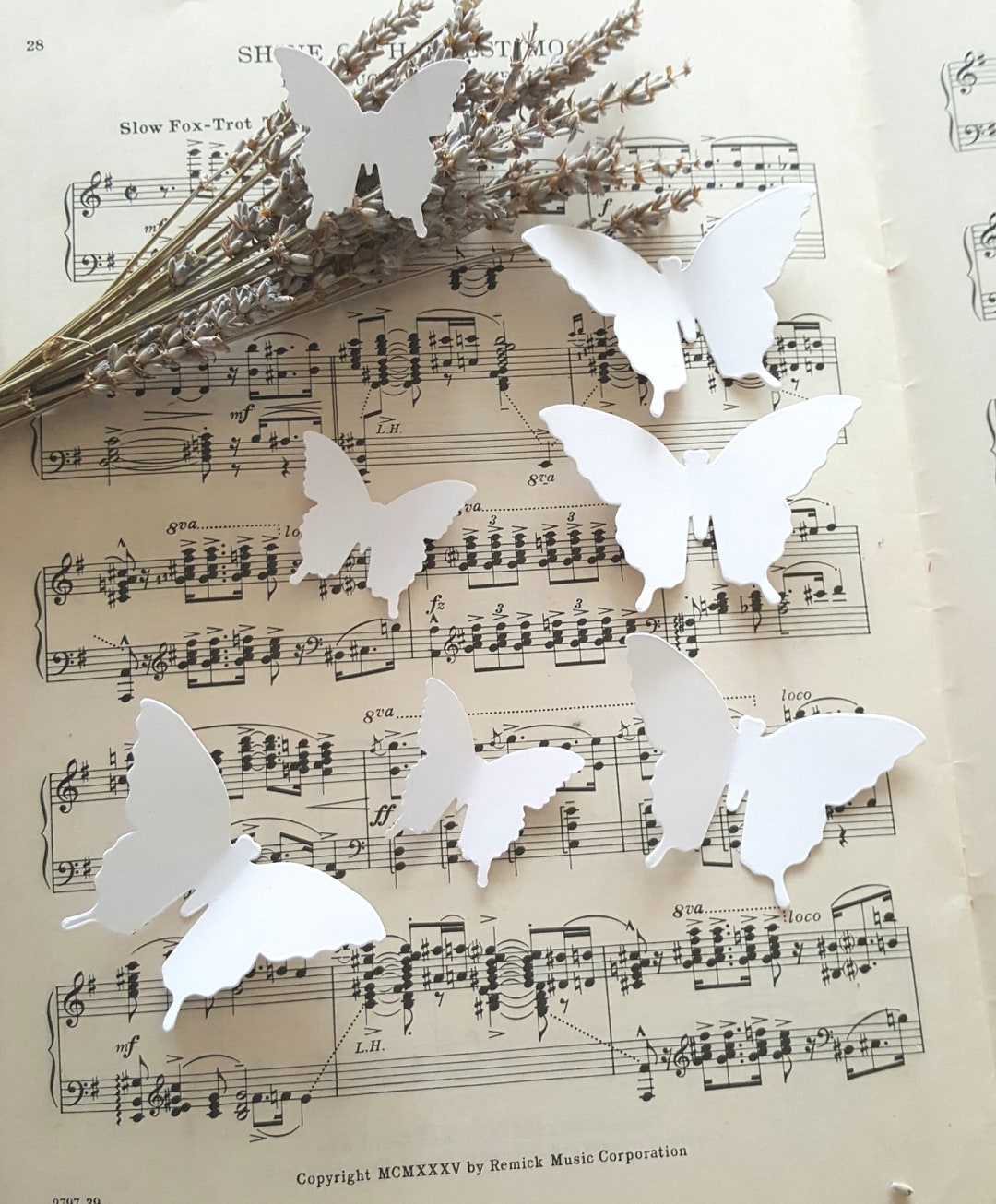 Butterfly Cut Outs/butterfly Die Cuts/ Paper Butterflies/butterfly Wall ...