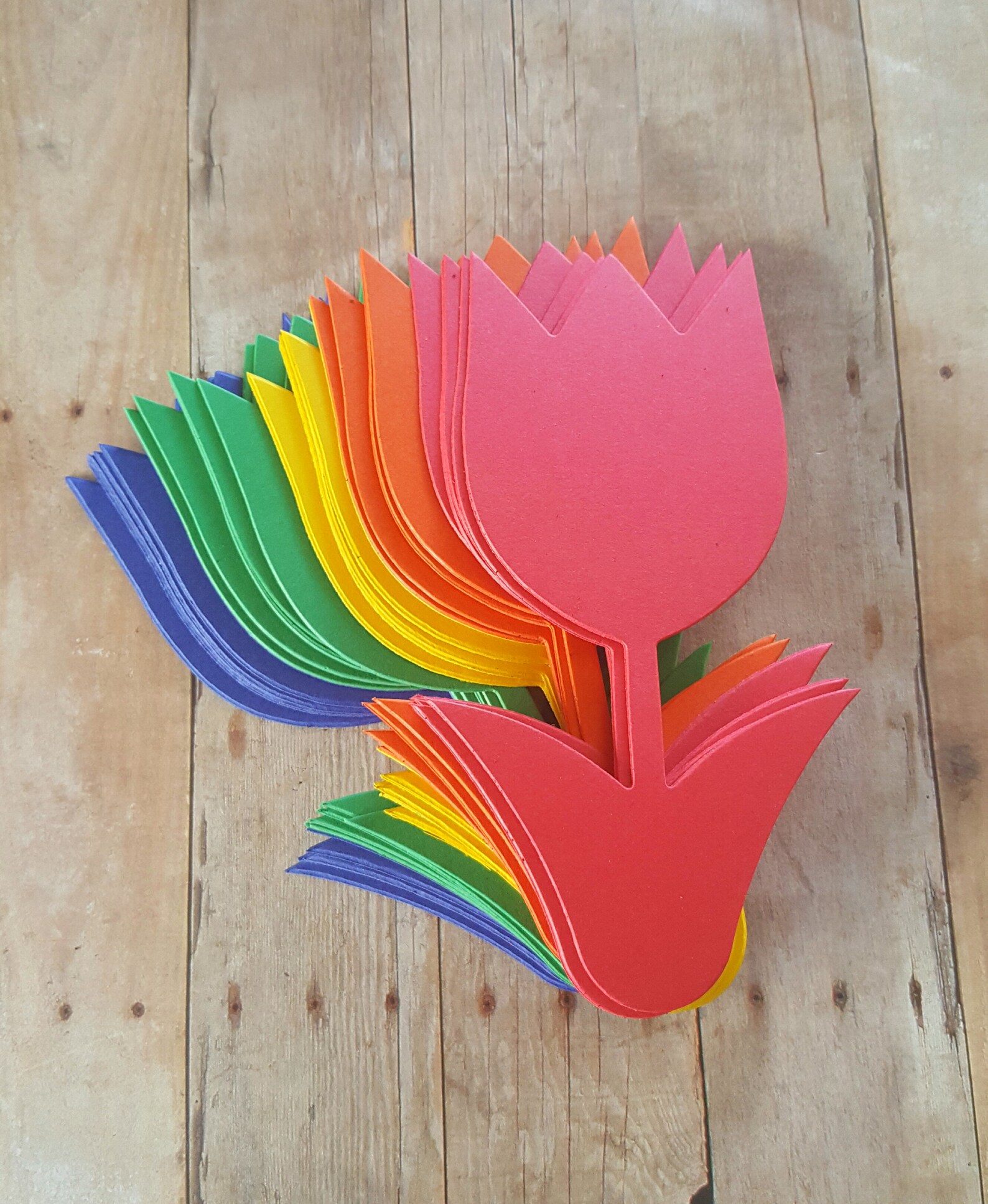 Tulip Die Cuts/pick Colors/tulip Cut Outs,garden Theme Decor,spring Die ...