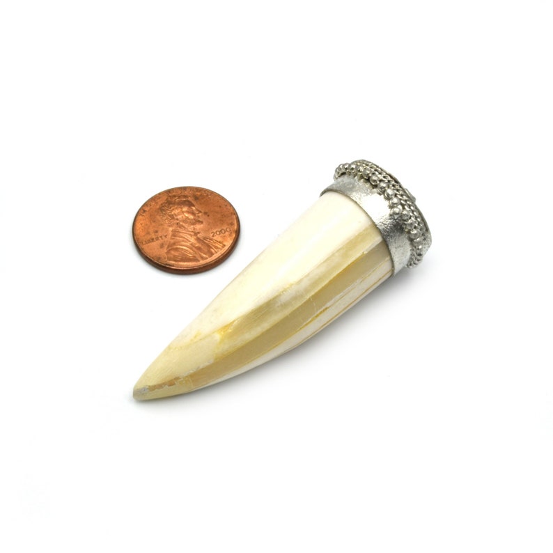 Ox Bone Tusk Pendant: Small Claw Charm With Gold/silver Cap - Etsy