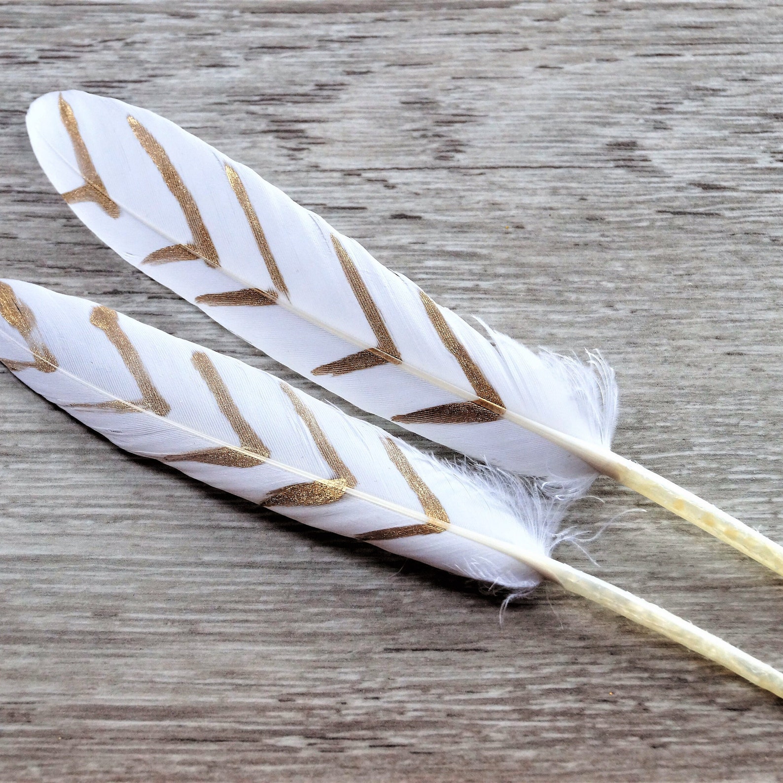Duck Feather Black With Golden Dipped 10-15 Cm - Etsy