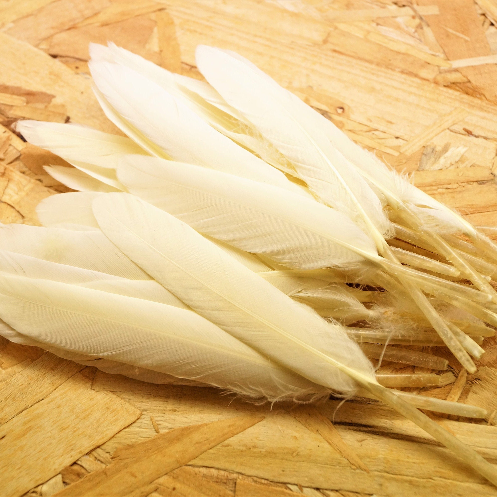 Natural Duck Feathers 4-6 Set of 10 - Etsy