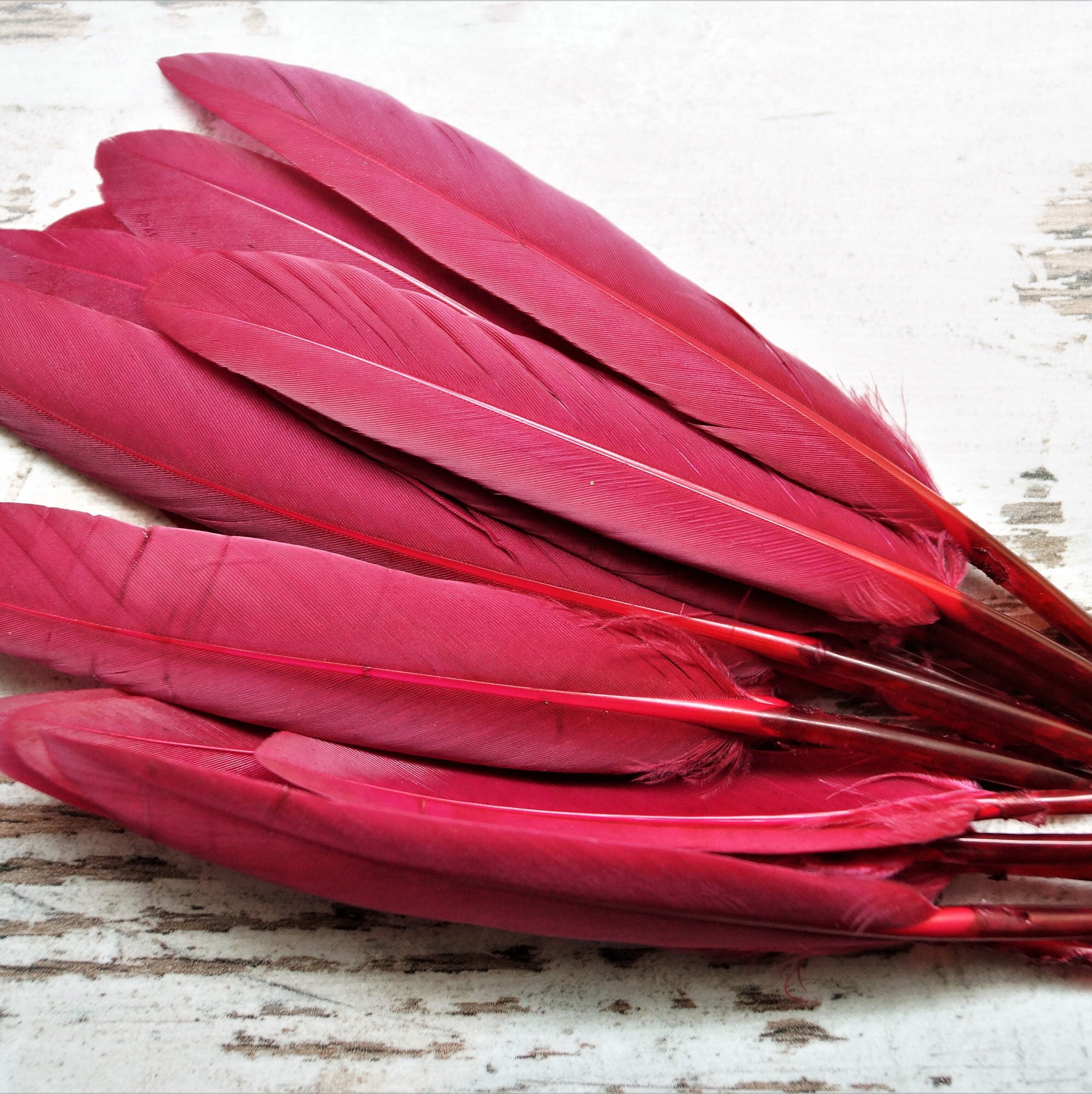 Natural Duck Feathers 4-6 Set of 10 - Etsy