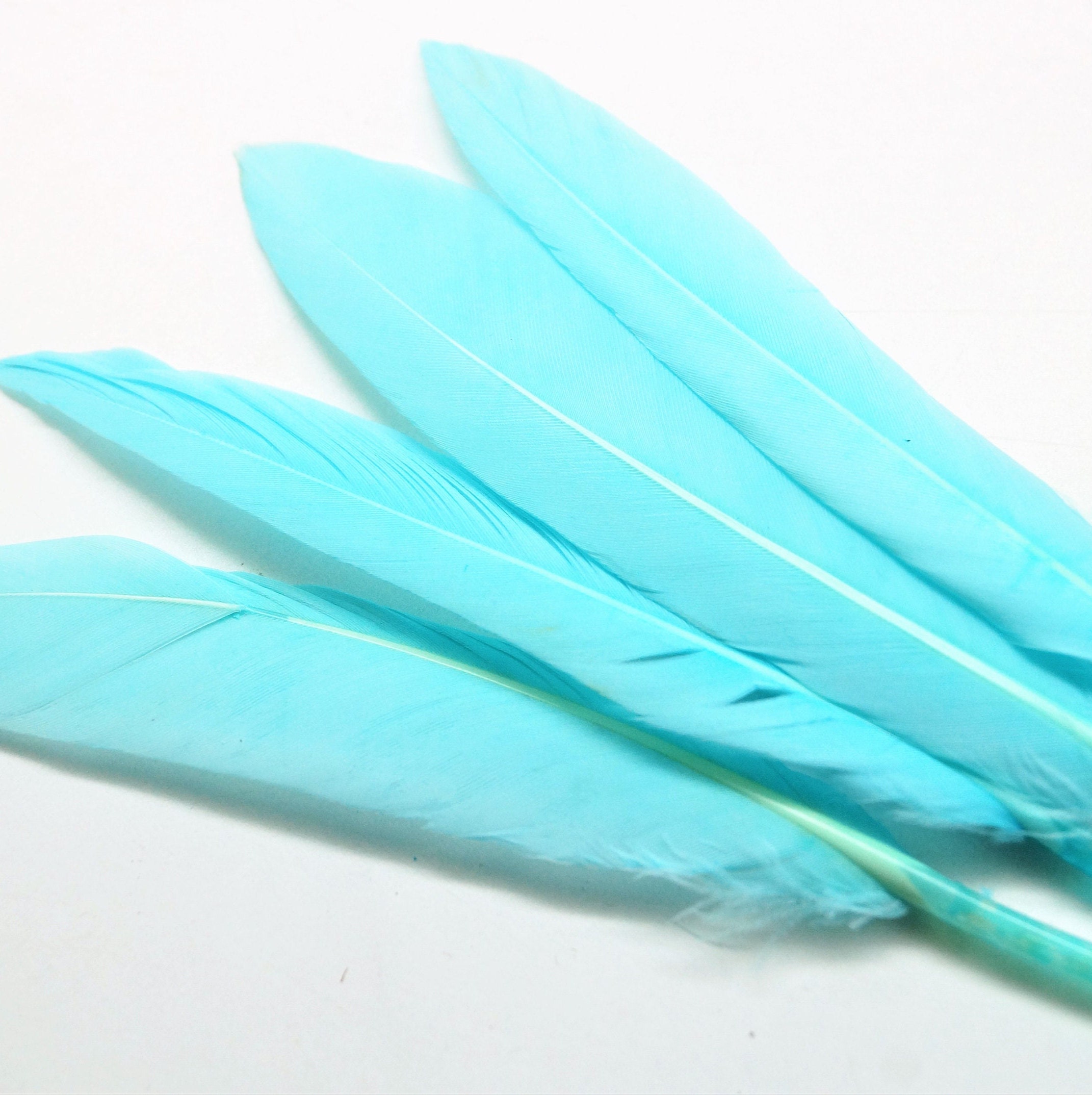 Natural Duck Feathers 4-6 Set of 10 - Etsy