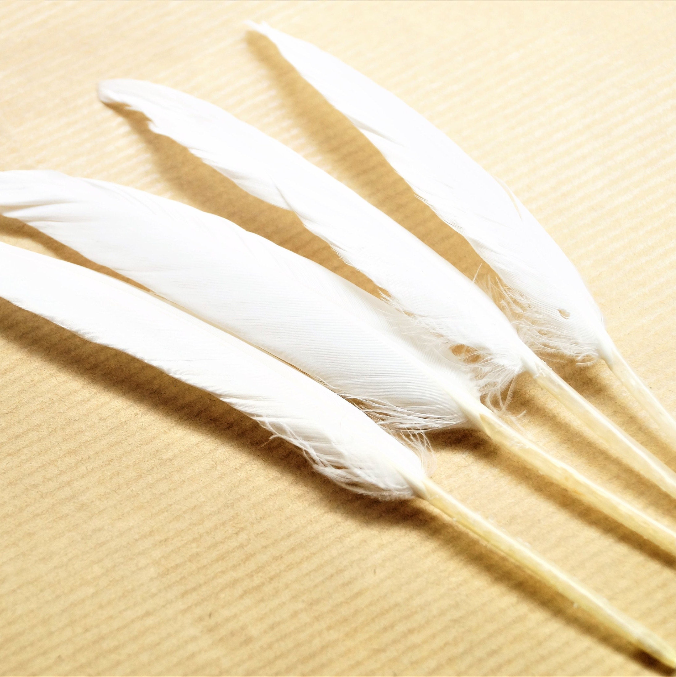 Natural Duck Feathers 4-6 Set of 10 - Etsy