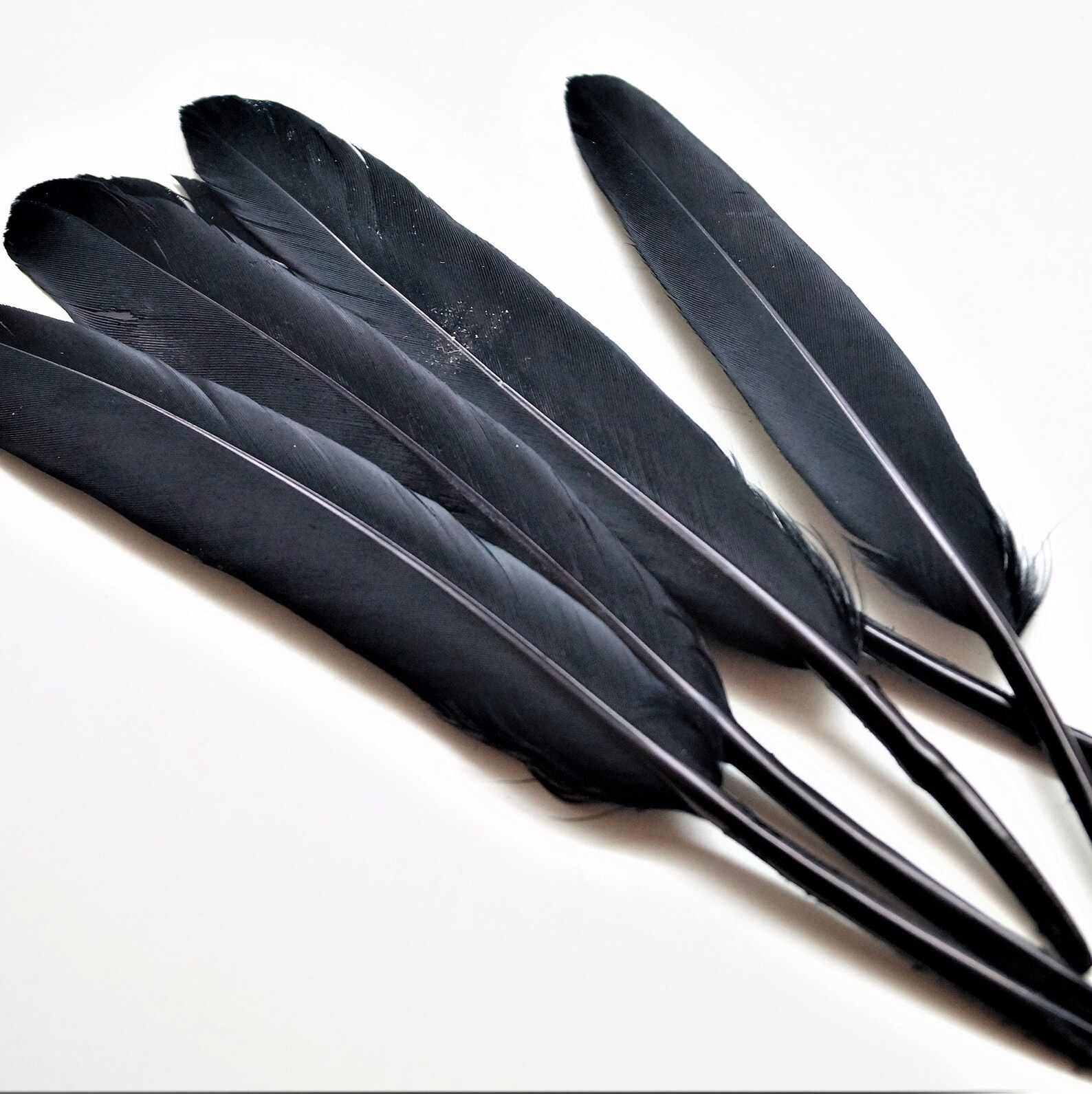 Natural Duck Feathers 4-6 Set of 10 - Etsy