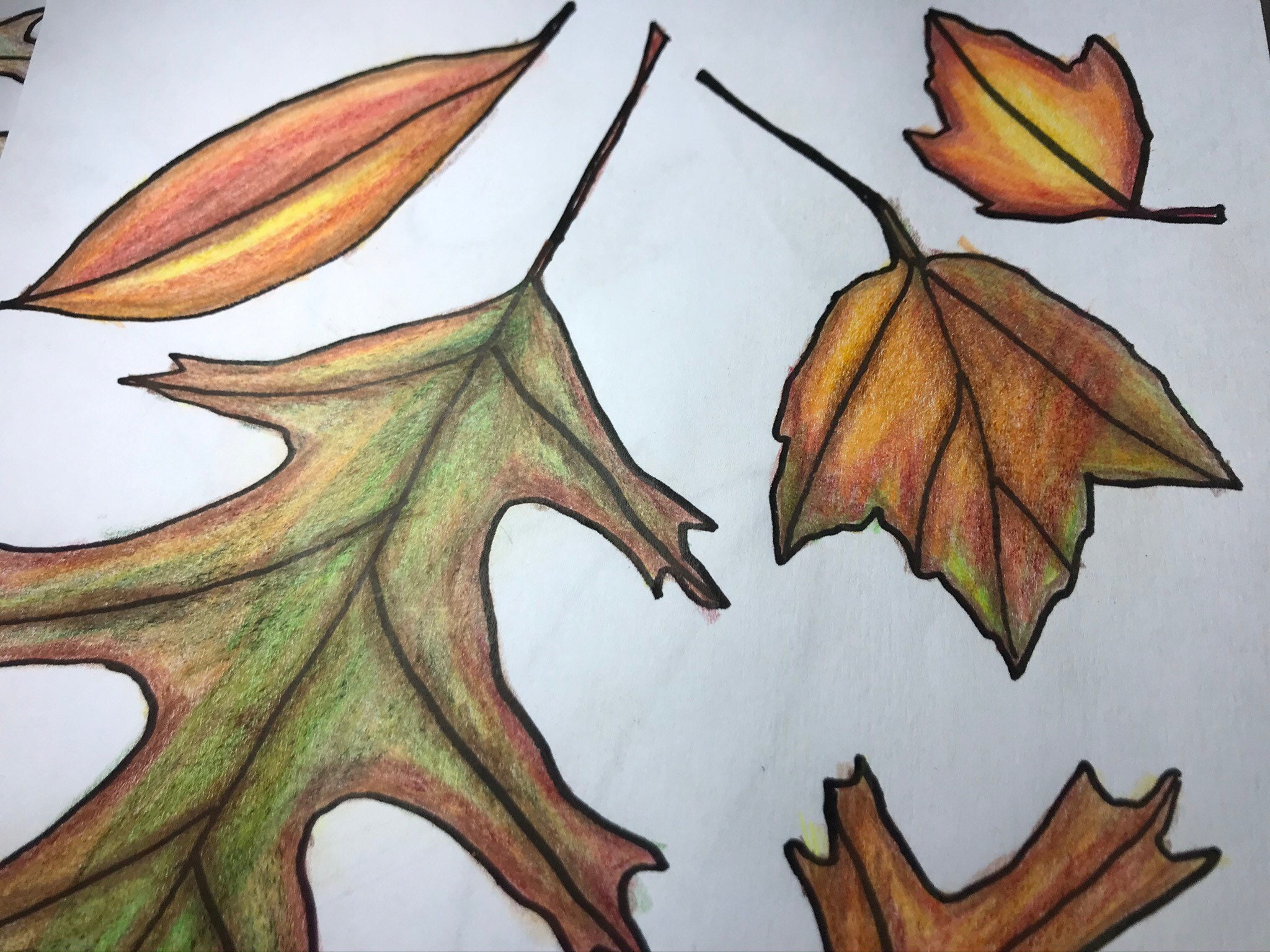 Fall Leaves Coloring Page Printable Thanksgiving Coloring Sheet Fun ...