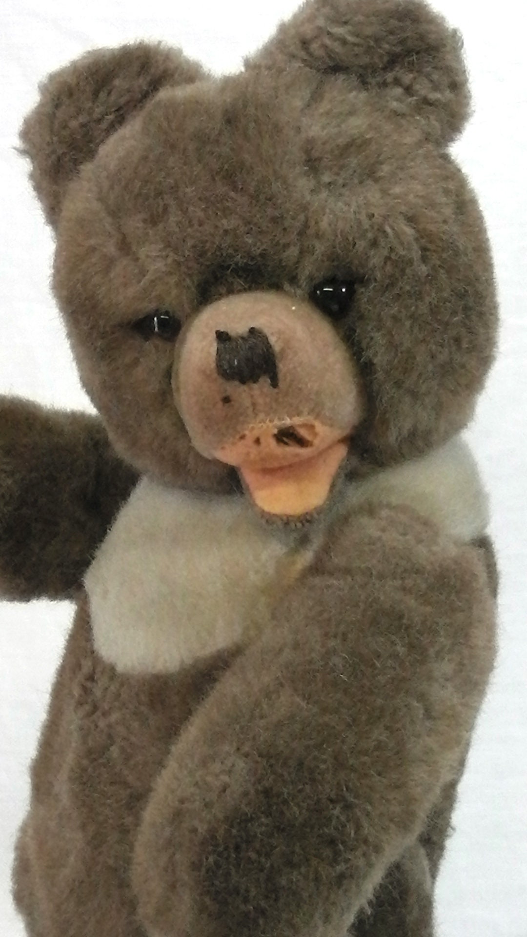 Hermann Teddy Cute Antique / Vintage Herman Teddyplush - Etsy