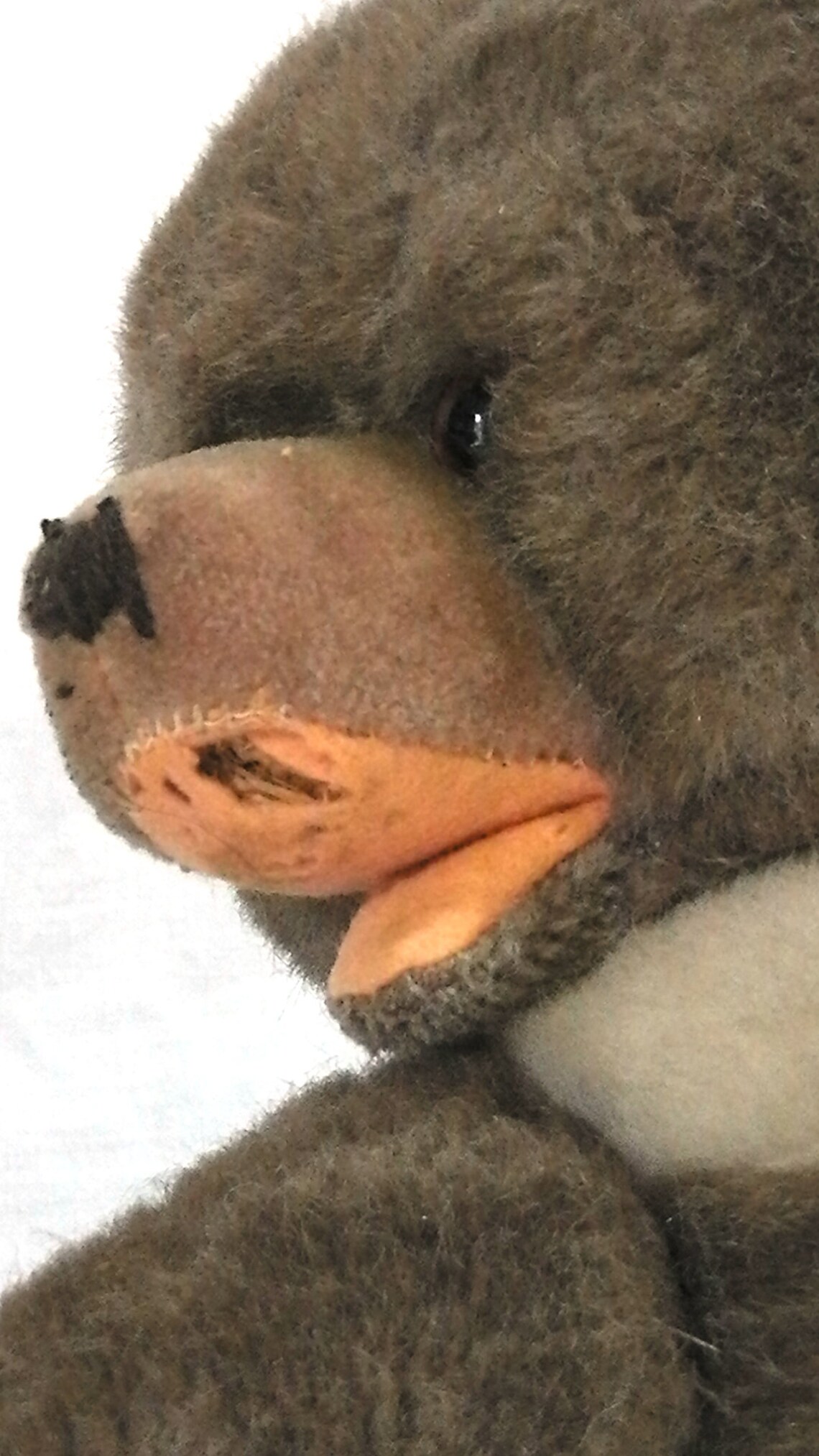 Hermann Teddy Cute Antique / Vintage Herman Teddyplush - Etsy