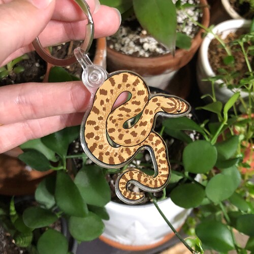 Sulcata Tortoise Cute Turtle Reptile Sticker Gift | Etsy