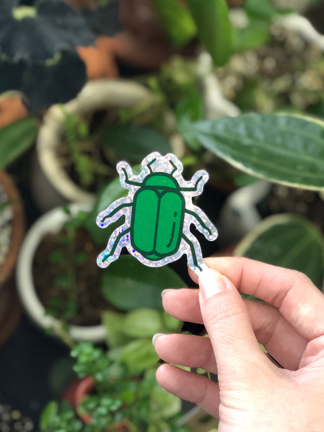 Holo There Mr. Beetle Sticker - Etsy