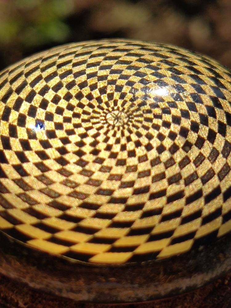 Cosmic Sensor Plate by Flanagan Orgonite Holographic | Etsy