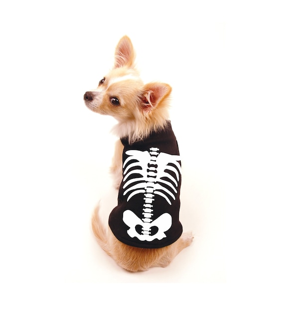 Skeleton Dog Costume