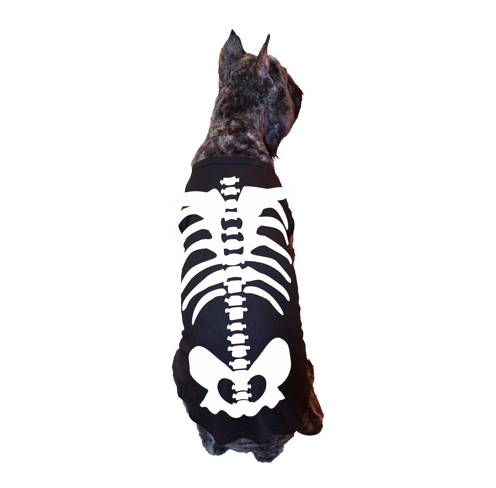 Big Dog Halloween Costume Halloween Costumes for Large Dogs - Etsy
