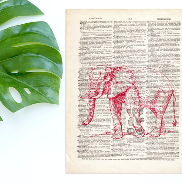 Elephant Dictionary - Etsy