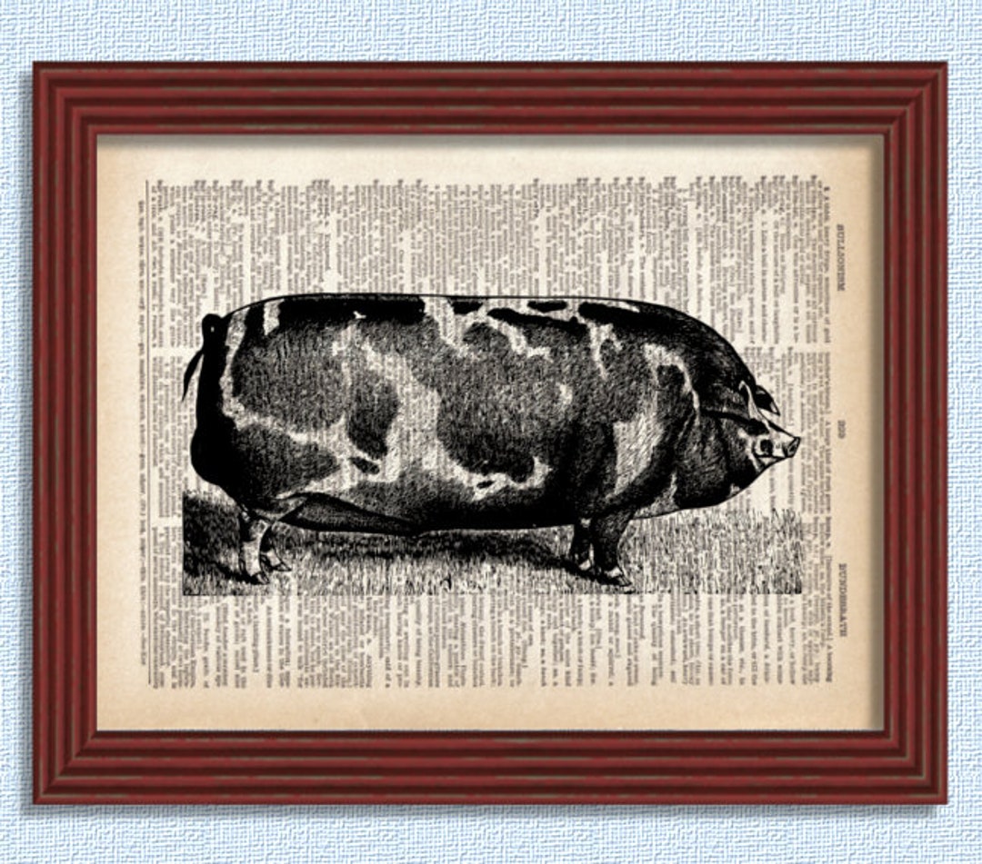 Dictionary Art Print Pig Decor Wall Animal Kitchen Kids Farm Children ...
