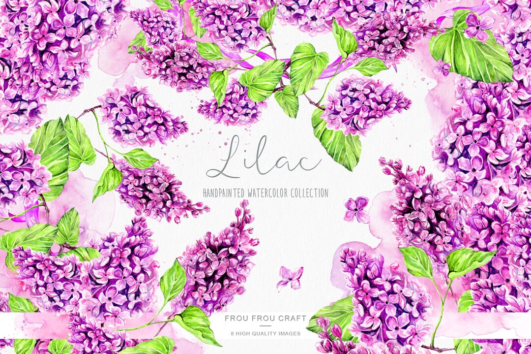 Lilac Floral Clipart, Violet Flowers Watercolor, Purple Digital Art ...