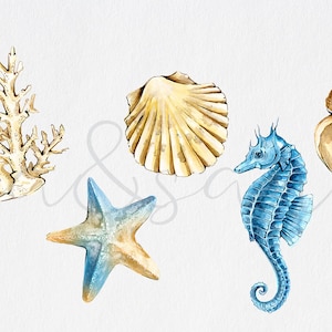 Watercolor Sea Clipart, Nautical Clipart, Seashells, Sea Horse, Coral ...