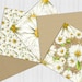 Daisies Digital Paper Pack Watercolor Daisy White Camomile Flowers ...