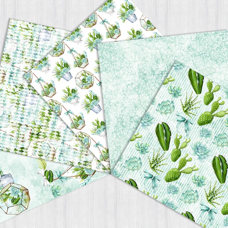Succulent Paper Pack Cactus Pattern Botanical Seamless - Etsy