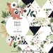 Woodland Digital Paper Pack, Cute Deer Paper Pack, Pastel Kids Surface ...