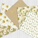 Daisies Digital Paper Pack Watercolor Daisy White Camomile Flowers ...