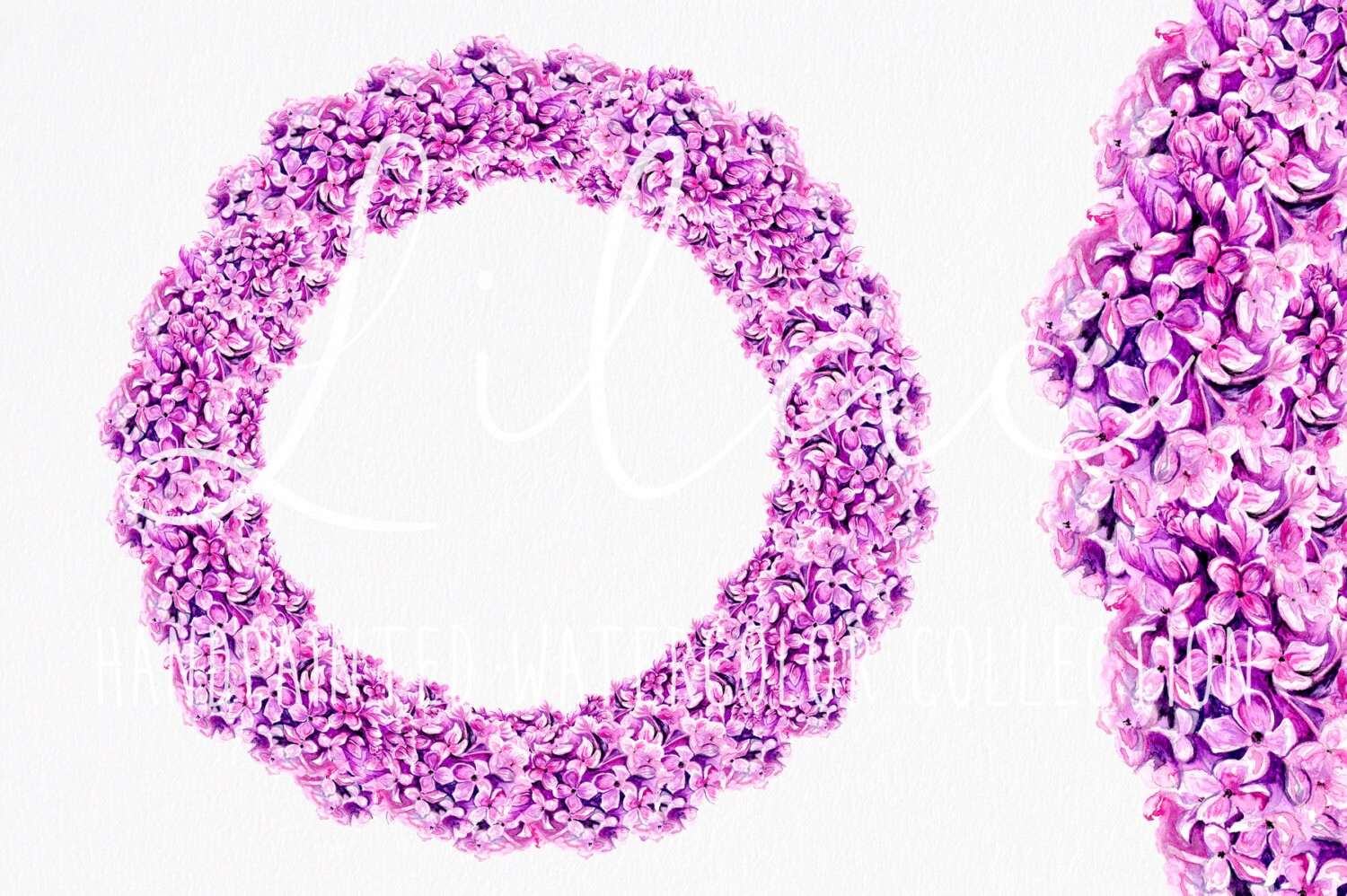 Lilac Floral Clipart Violet Flowers Watercolor Purple | Etsy