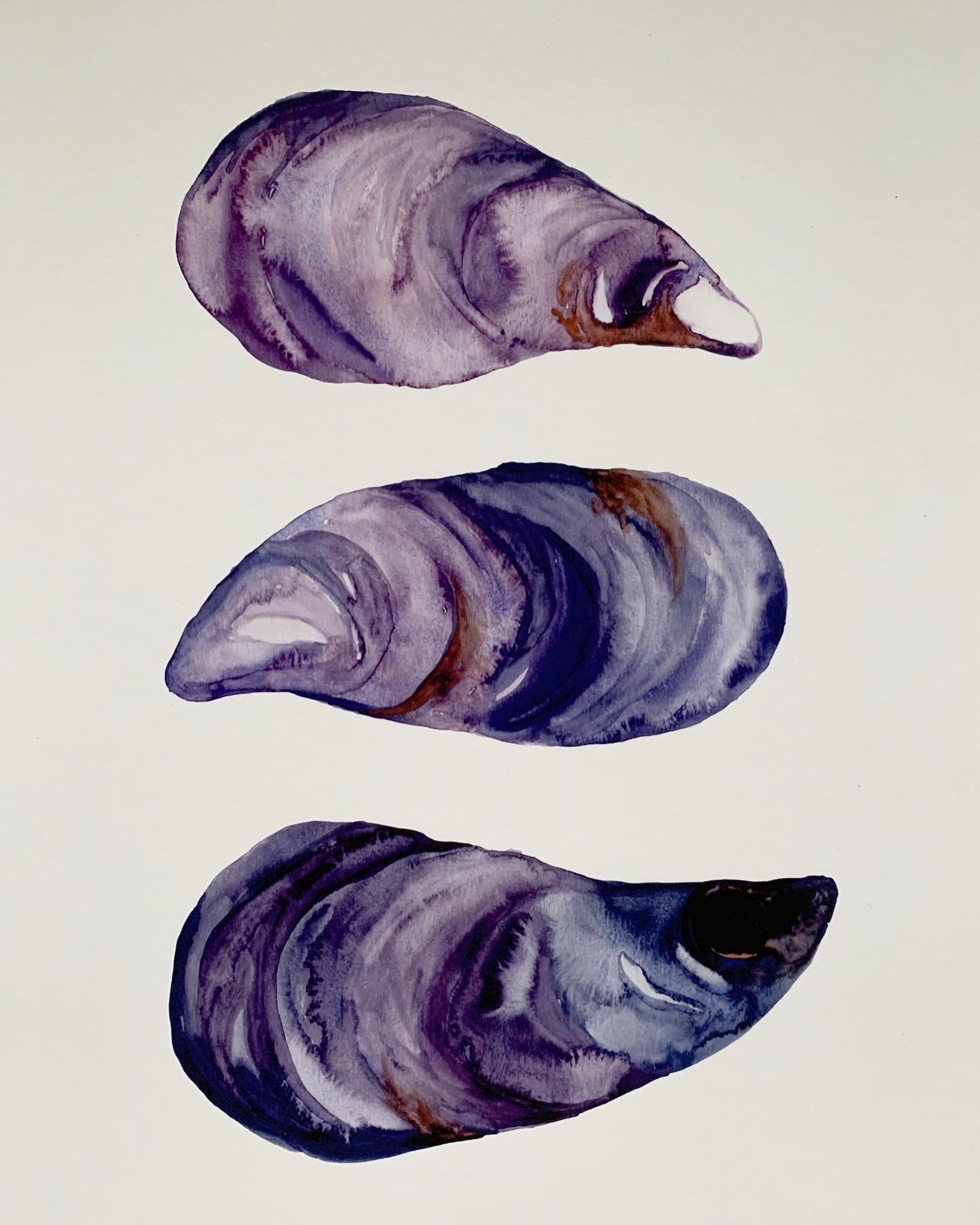 Mussel Trio - Etsy