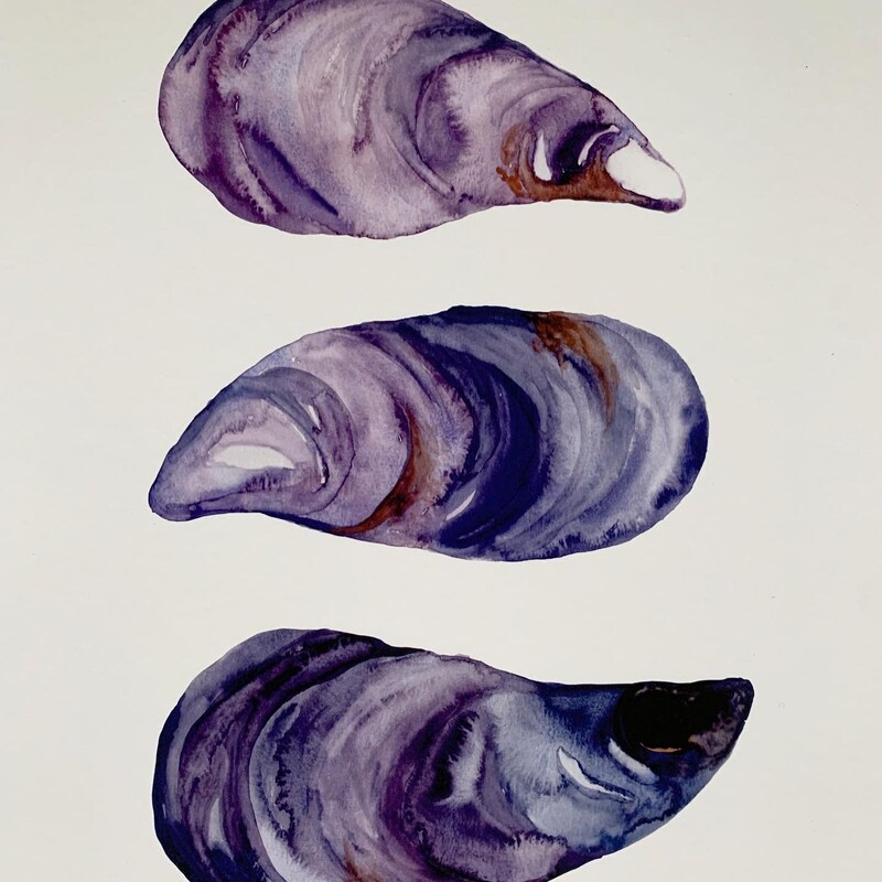 Mussel Shell Art - Etsy Canada