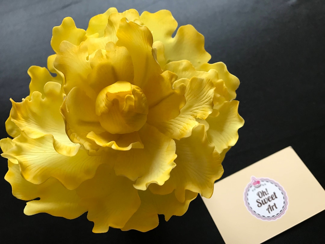 Peony Flower Cutter (4 Cutters) Set by Oh! Sweet Art Approved for Food ...