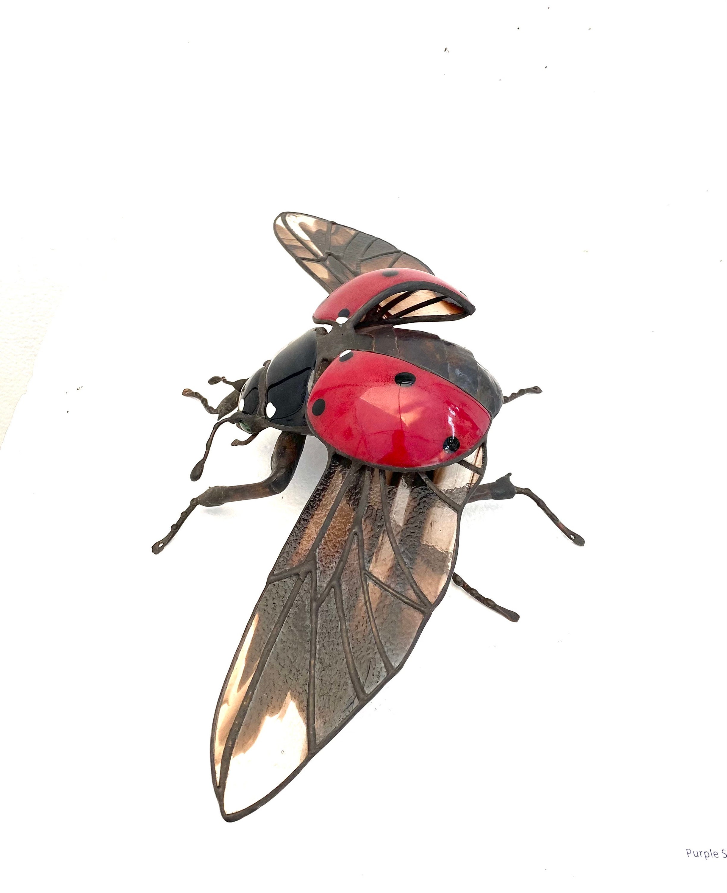 Wings Open Ladybug - Etsy