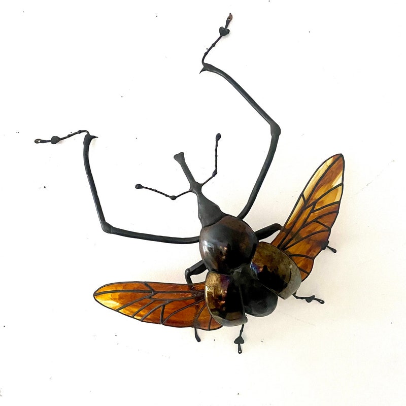 SeanGoddardInsects - Etsy