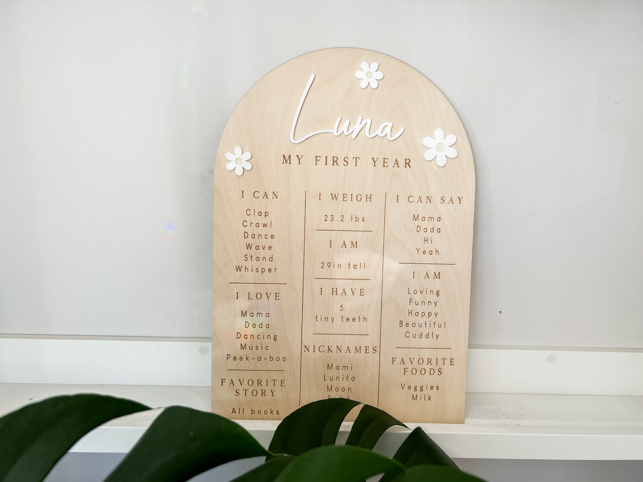 Daisy Milestone Birthday Board, First Birthday Stats Board, First ...
