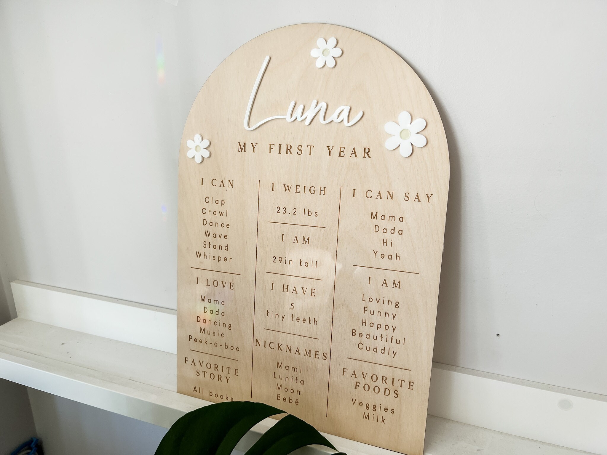 Daisy Milestone Birthday Board, First Birthday Stats Board, First ...