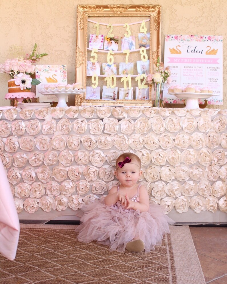 First Year Photo Banner Milestone Banner Baby's First | Etsy