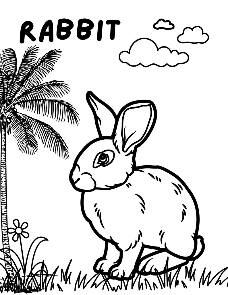 Animals Coloring Pages 50 Sheets, Digital PDF Download - Etsy