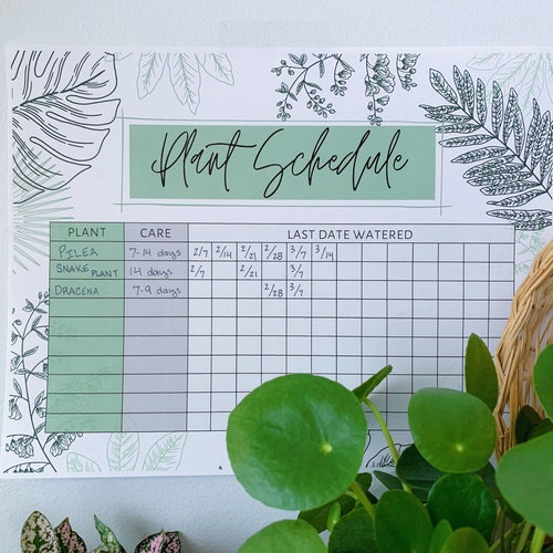 Plant Watering Tracker PRINTABLE PDF - Etsy