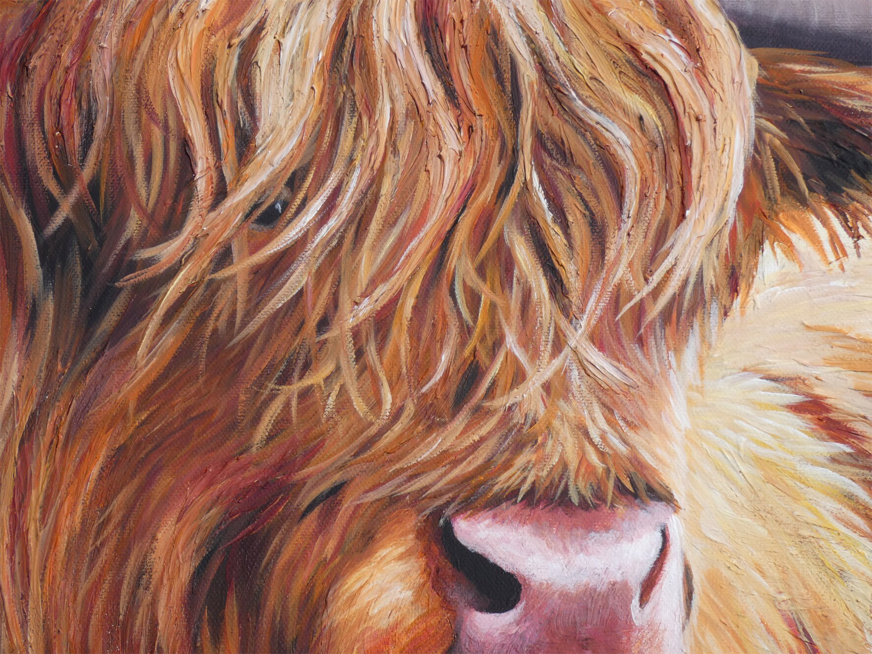 LE 100 30x40cm or 40x50cm mounted by Janet Carson Hairy Coos Highland ...