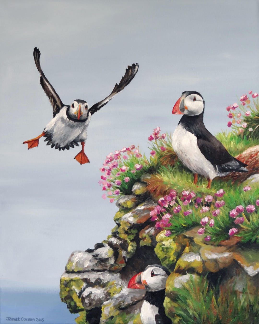 Puffin Print, limited Edition of 100 Giclée Print, Sea Birds, Cliff Top ...