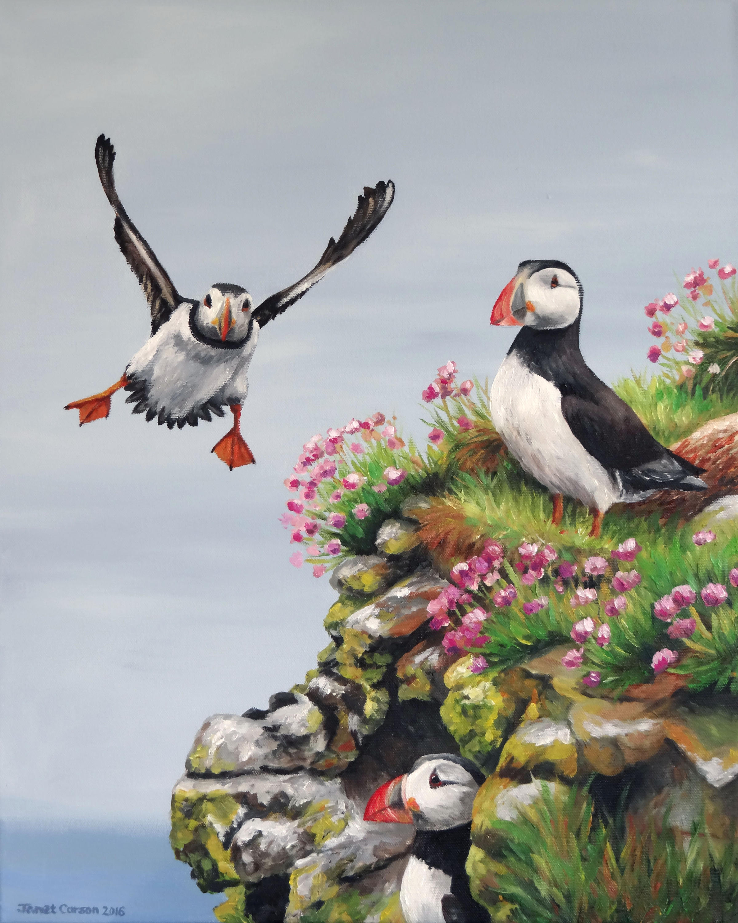 Puffin Print, (limited Edition of 100) Giclée Print, Sea Birds, Cliff ...