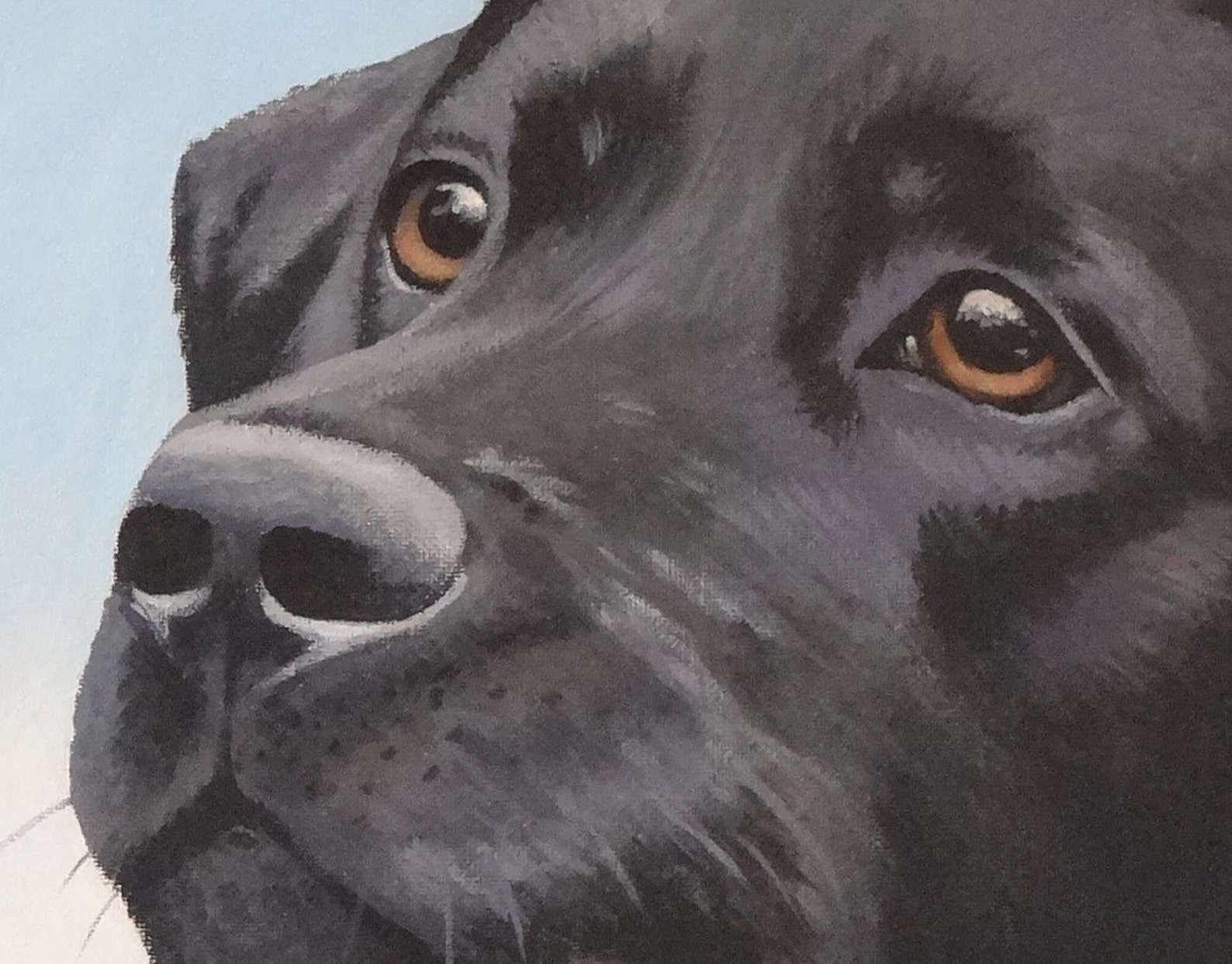 Black Labrador Dog Print, giclée Limited Edition of 150 Gun Dog, Family ...