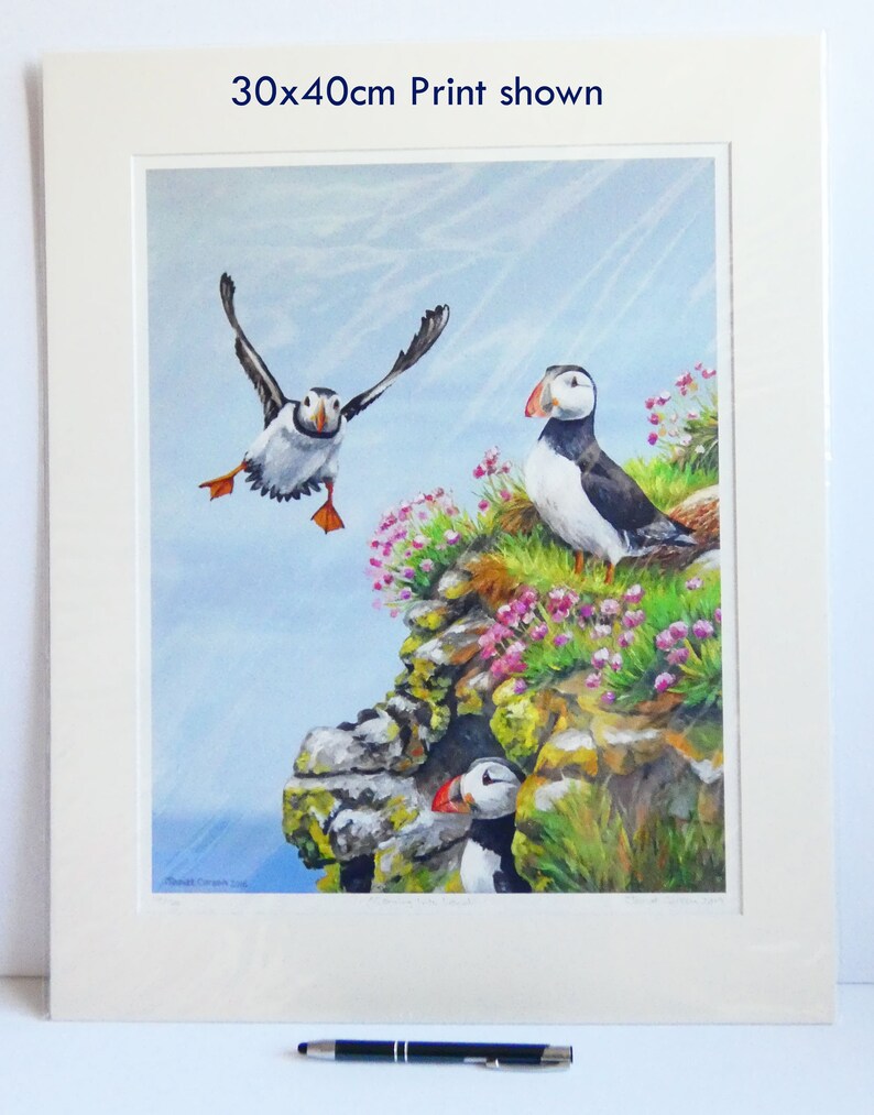 Puffin Print, limited Edition of 100 Giclée Print, Sea Birds, Cliff Top ...